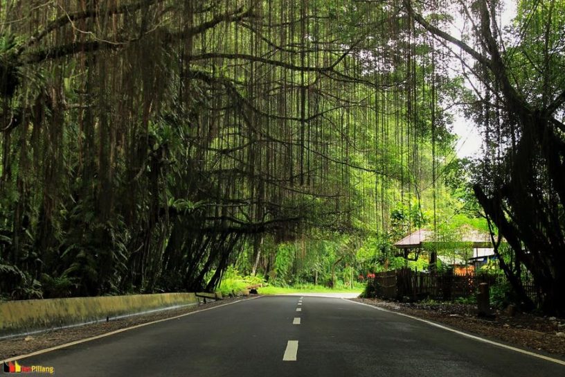 6 Tempat Wisata di Lubuk Sikaping Pasaman - Sering Jalan