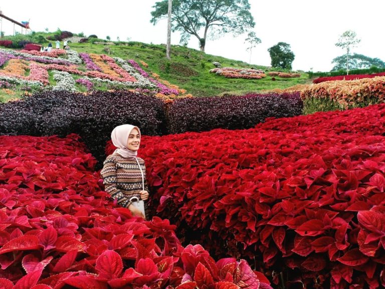 6 Tempat Wisata di Lubuk Sikaping Pasaman - Sering Jalan