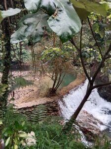 Mengenal Curug Lembah Tepus, Wisata Alam di Bogor - Sering Jalan