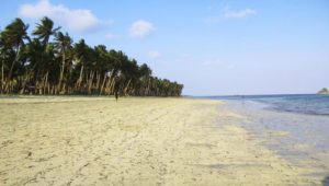 6 Tempat Wisata di Saumlaki Kabupaten Kepulauan Tanimbar