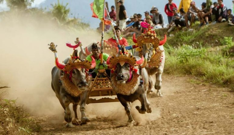 6 Tempat wisata di Negara, Kabupaten Jembrana - Sering Jalan
