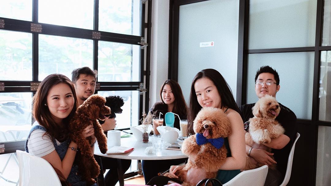 Dog Cafe Di Jakarta, Kunjungi 4 Tempat Ini - Sering Jalan