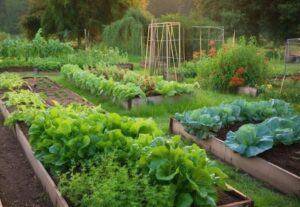 7 Cara Mengatasi Pencemaran Tanah Paling Efektif - Sering Jalan